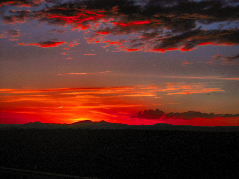 Nature's Reds In 2024: 45 Things Explored With Facts & Pictures - 123 ...